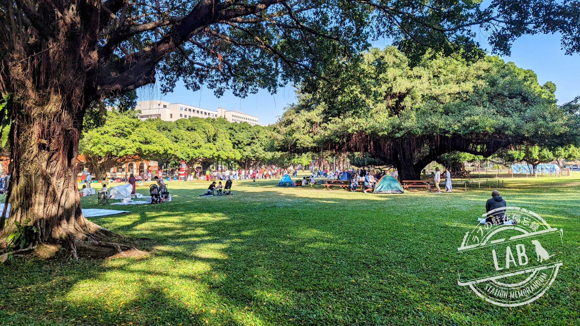 シティサファリ台南向けおすすめ周回スポットまとめ